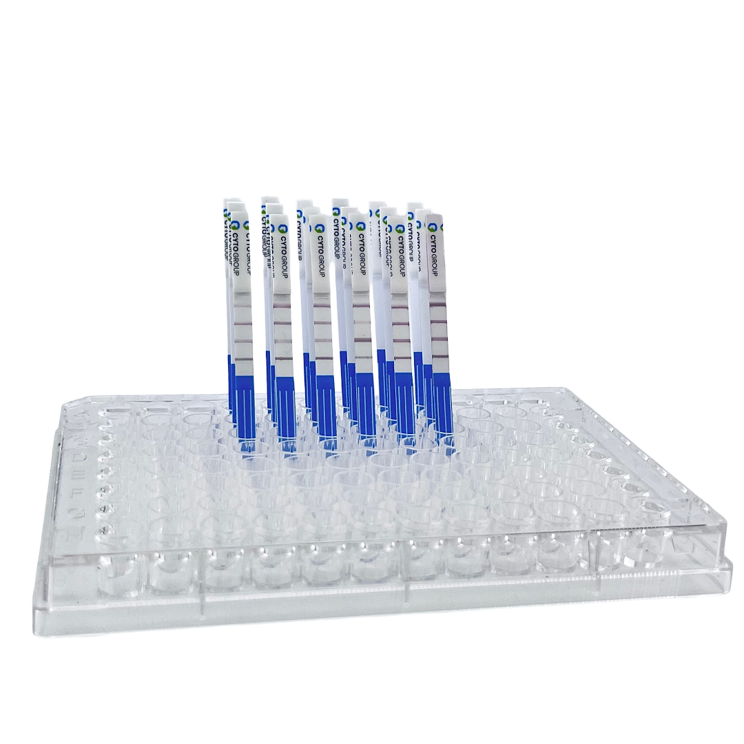 Mouse IgG Fc Lateral Flow Dipstick Assay Kit | Cytodiagnostics Inc