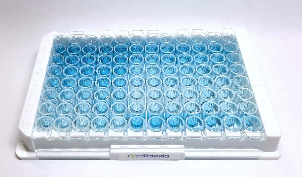 96 Well Elisa Plate